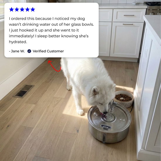 WagWells Dog Water Fountains | Fresh, Filtered Flow