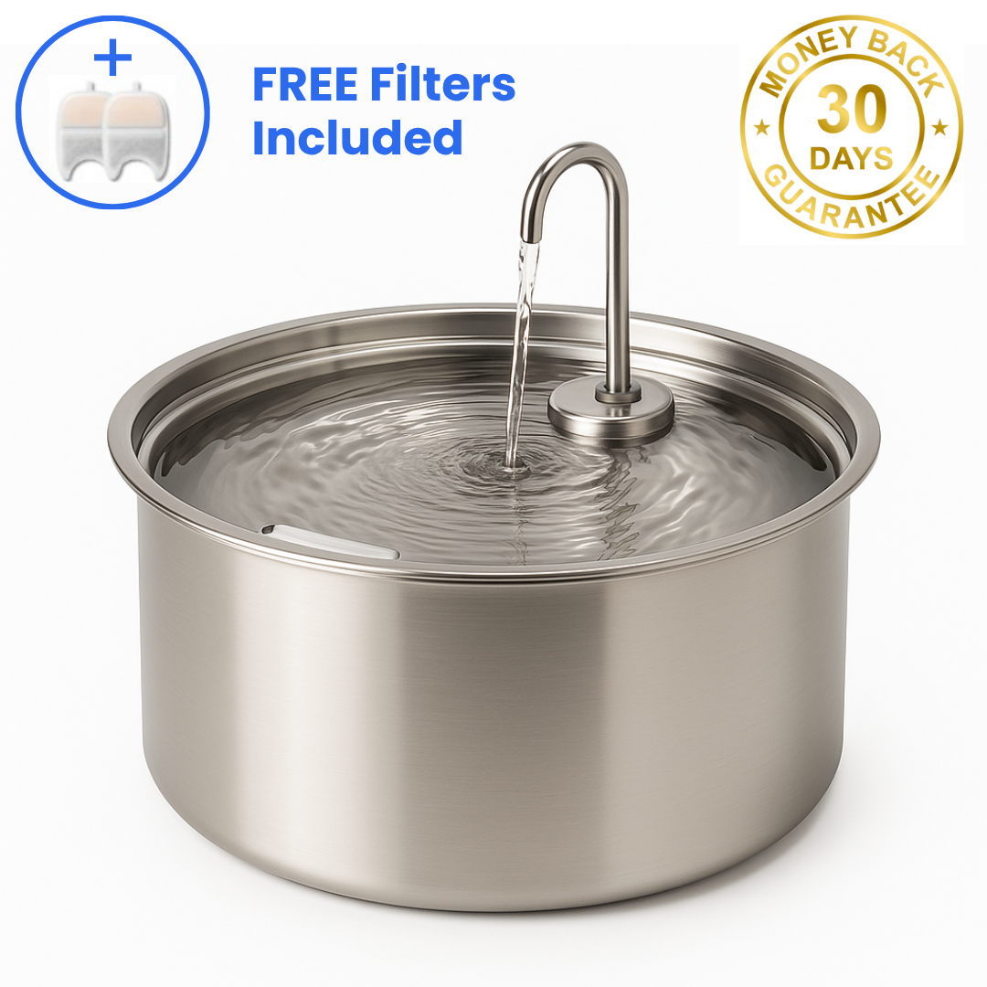 WagWells Dog Water Fountains | Fresh, Filtered Flow